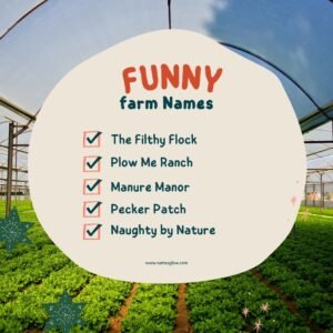 250+ Funny Farm Names That’ll Make You Laugh, Moo & Cluck! - namesglow.org